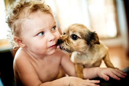 Heart Touching Photos of Dogs with Humans - Designbeep