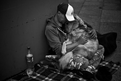 Heart Touching Photos of Dogs with Humans - Designbeep