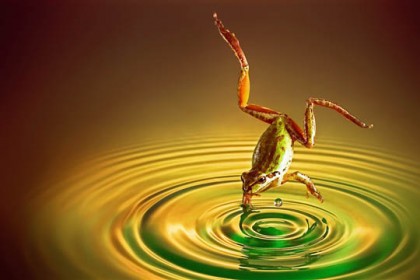 Showcase of Outstanding Photos from Master Photographers - Designbeep