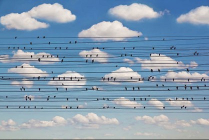 Showcase of Outstanding Photos from Master Photographers - Designbeep