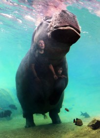 Showcase of Outstanding Photos from Master Photographers - Designbeep