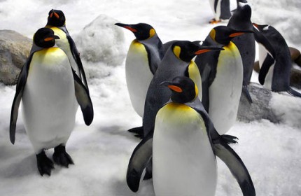 Showcase of Outstanding Photos from Master Photographers - Designbeep