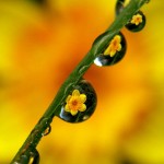 45 Stunning Examples of Water Drop Reflection Photography - Designbeep