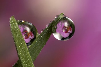 45 Stunning Examples of Water Drop Reflection Photography - Designbeep