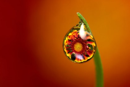 45 Stunning Examples of Water Drop Reflection Photography - Designbeep