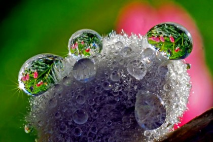 45 Stunning Examples of Water Drop Reflection Photography - Designbeep