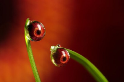 45 Stunning Examples of Water Drop Reflection Photography - Designbeep