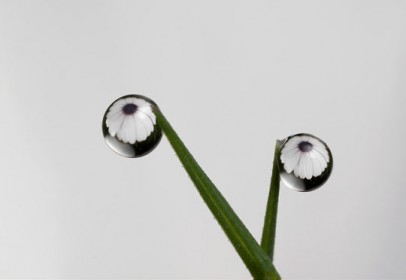 45 Stunning Examples of Water Drop Reflection Photography - Designbeep