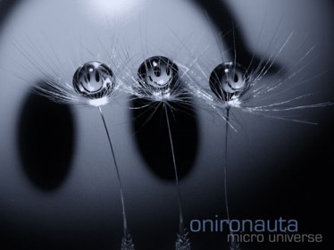 45 Stunning Examples of Water Drop Reflection Photography - Designbeep