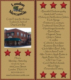 Showcase of Attractive Rack Cards - Designbeep