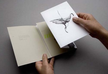 Showcase of Inspiring Booklet Designs - Designbeep