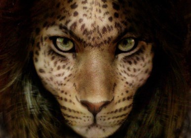 Showcase of Creative but Weird Animal Photo Manipulations - Designbeep