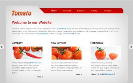25 Free Minimal and Clean Style XHTML/CSS Website Templates - Designbeep