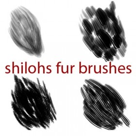 Fur Brush Photoshop 70+ Free Downloads
