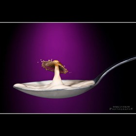 Collection of Stunning Milk Splash Photos - Designbeep