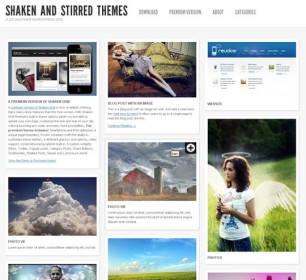 20 Free and Premium Pinterest Style Wordpress Themes - Designbeep