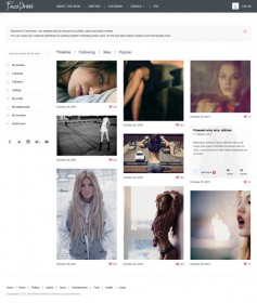 20 Free and Premium Pinterest Style Wordpress Themes - Designbeep