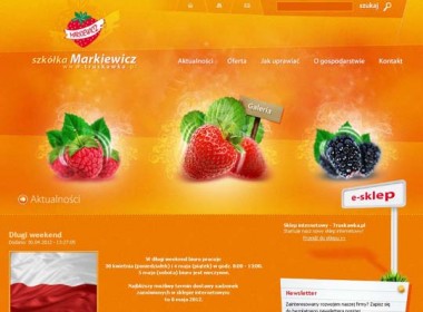 Orange In Web Design:36 Inspiring Examples - Designbeep