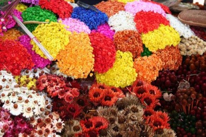 The Beauty Of Colors:35 Eye-Catching Examples of Colorful Photography ...