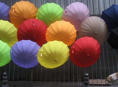 The Beauty Of Colors:35 Eye-Catching Examples of Colorful Photography ...