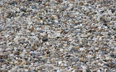 Collection of Free Pebble Textures for Designers - Designbeep