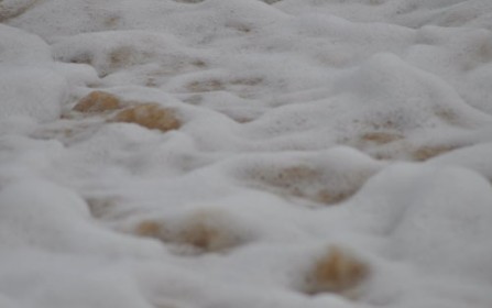 20 Free Foam Textures For Designers - Designbeep