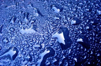 30+ Cool Free Water Drop Textures For Designers - Designbeep