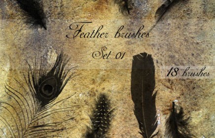 50+ Free Feather Brushes For Photoshop Users 2025 - Designbeep