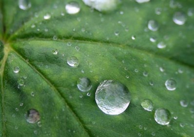 30+ Cool Free Water Drop Textures For Designers - Designbeep