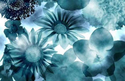100+ Free Flower Brushes For Photoshop - Designbeep