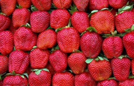 A Delicious Collection Of Free Fruit Textures - Designbeep