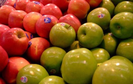 A Delicious Collection Of Free Fruit Textures - Designbeep