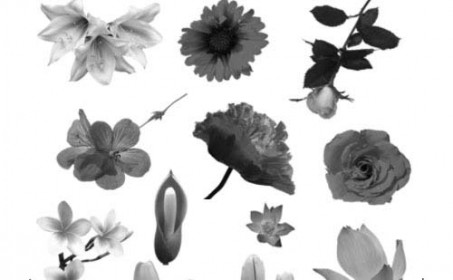 100+ Free Flower Brushes For Photoshop - Designbeep