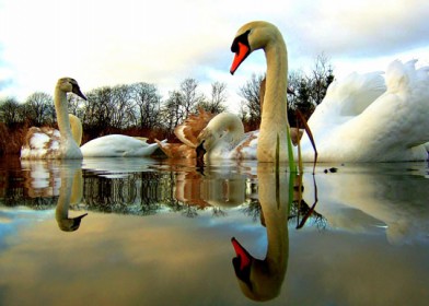 Amazing Examples Of Reflection Photography - Designbeep