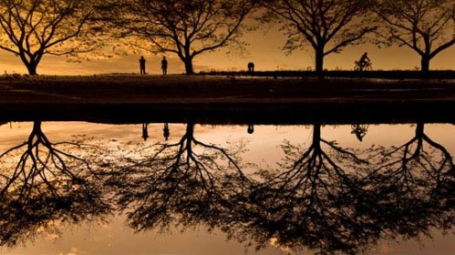 Amazing Examples Of Reflection Photography - Designbeep