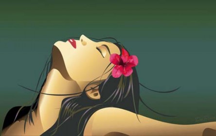 30+ New Collection of Beautiful Vector Wallpapers For Your Desktop ...