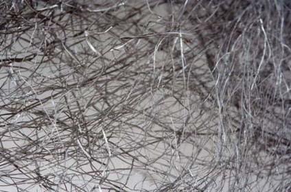 A Collection Of Free High Quality Wire Textures For Designers - Designbeep