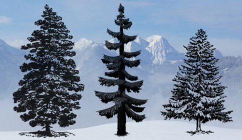 100+ Free High Quality Tree Brushes for Photoshop - Designbeep