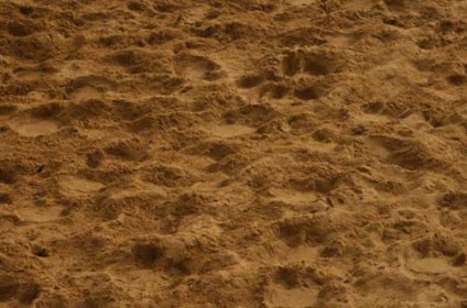 A Great Collection Of Free Sand Textures For Designers - Designbeep