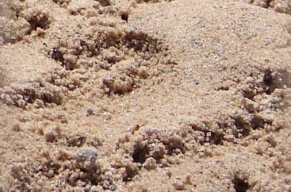 A Great Collection Of Free Sand Textures For Designers - Designbeep