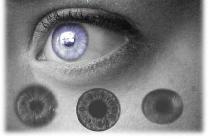 30 Sets Of Free Photoshop Makeup Brushes 2026 - Designbeep