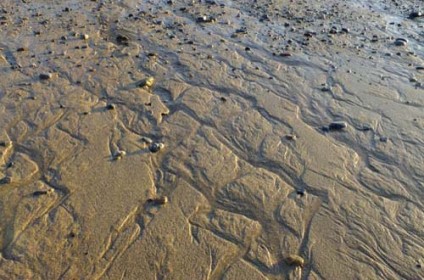 A Great Collection Of Free Sand Textures For Designers - Designbeep