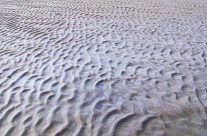 A Great Collection Of Free Sand Textures For Designers - Designbeep
