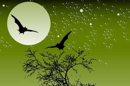 30 Cool Free Vector Night Scenes For Designers - Designbeep