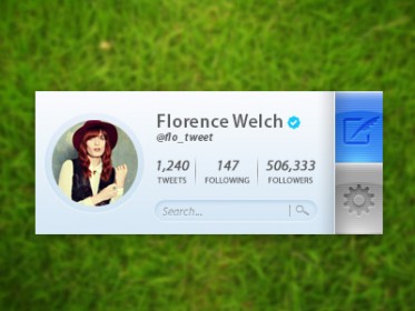 30 Must-See Twitter Widget UI Designs For Inspiration - Designbeep