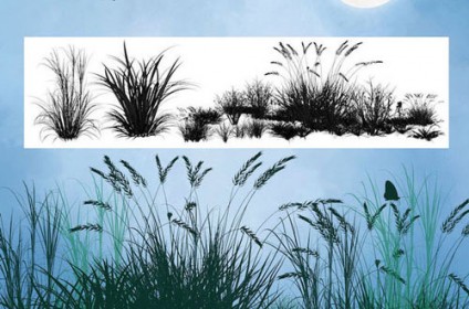 A Collection Of Free Realistic Grass Brushes For Photoshop - Designbeep