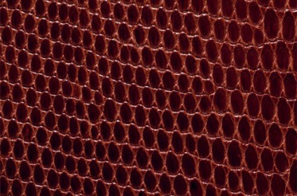 A Collection Of Free Snake Skin Textures For Designers - Designbeep