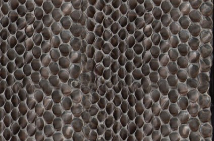 A Collection Of Free Snake Skin Textures For Designers - Designbeep
