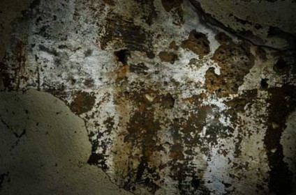 23 Free Damaged Wall Textures For Your Designs - Designbeep