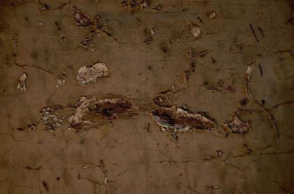 23 Free Damaged Wall Textures For Your Designs - Designbeep